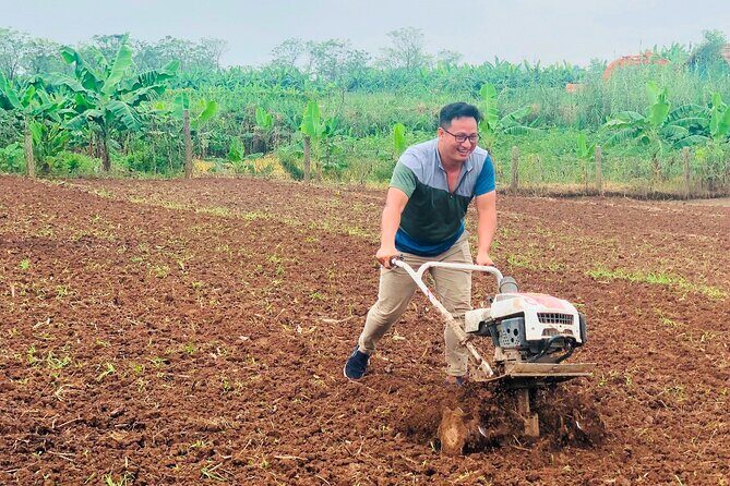 Hanoi Countryside in Banana Island - Top Tours & Activities - Final Thoughts