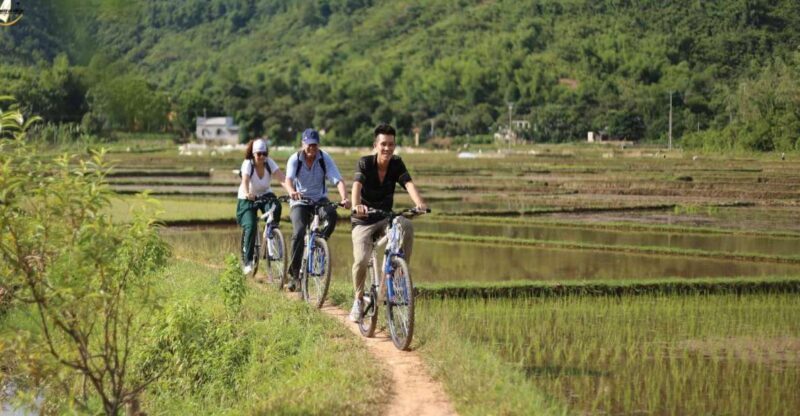 Hanoi: Cycling Tour of Hoa Lu, Trang An with Meals and Guide - The UNESCO-Winning Marvel of Trang An