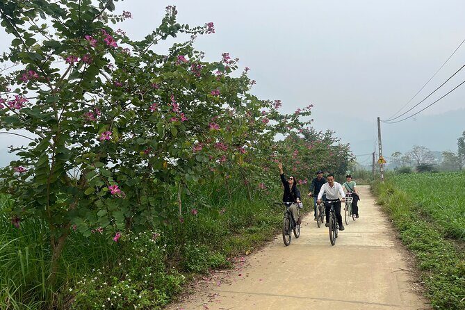 Hanoi Day In The Life and Farm to Table Tour with Cooking Class - Who Will Appreciate This Tour?