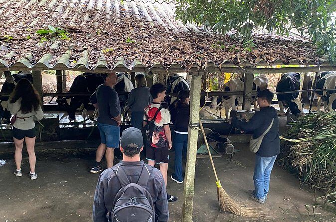 Hanoi Day-In-The-Life & Farm-to-Table Cooking Class  6 Hours - The Itinerary in Detail