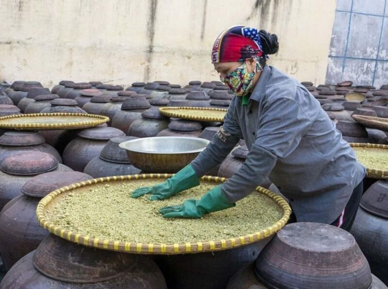 Hanoi: Day Trip to Bamboo Fish Trap & Soy Sauce Villages - Key Points