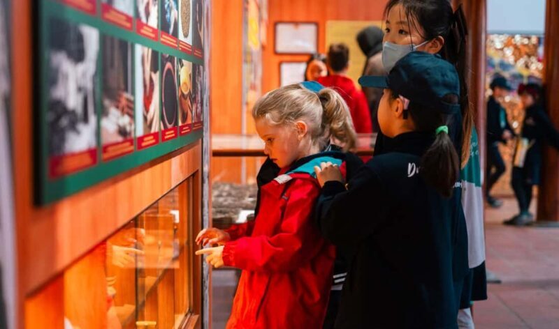 Hanoi: Dong Ho Painting Village & Dau Pagoda Tour with Lunch - The Practicalities: What to Expect from the Tour