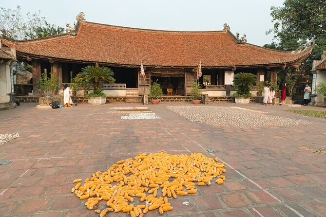 Hanoi: Duong Lam Ancient Village, Jeep Tour explore Daily Life - What the Reviews Say (and What They Imply)