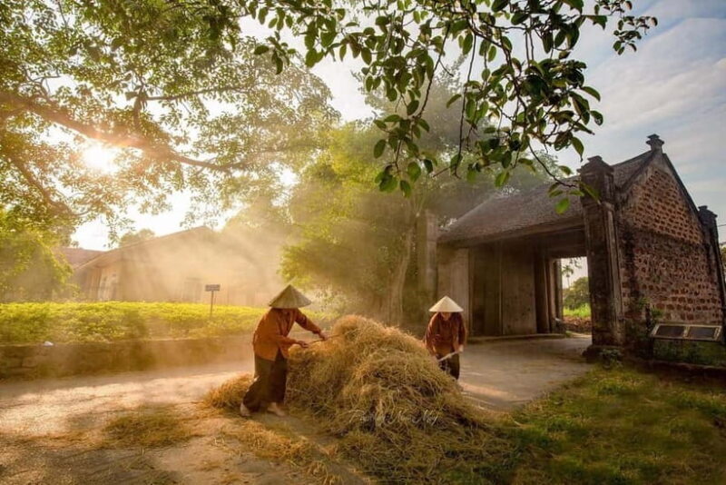 Hanoi: Duong Lam Village Tour & Learn About the Countryside - The Itinerary in Detail