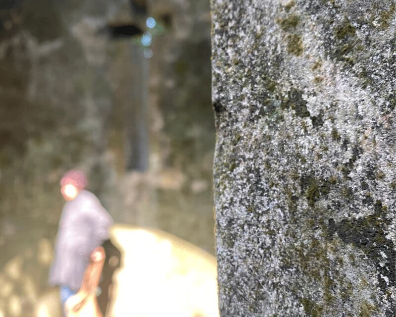 Hanoi Eco Tour: Ba Vi National Park Wonders & Tea Plantation - A Balanced Look at the Tour