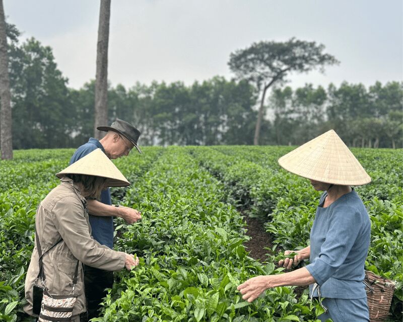 Hanoi Eco Tour: Ba Vi National Park Wonders & Tea Plantation - Meeting Mr. Duoc: The Tea Connoisseur and Vietnam War Veteran