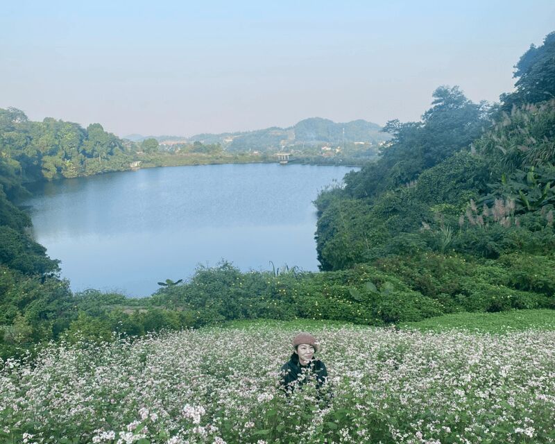 Hanoi Eco Tour: Ba Vi National Park Wonders & Tea Plantation - About the Price and Overall Value