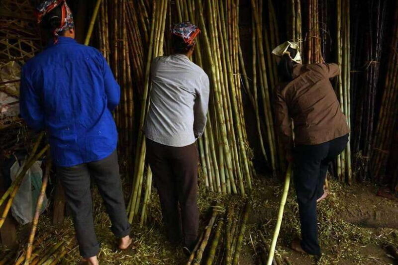 Hanoi Explorer Photography Tour - Why This Tour Suits Specific Travelers