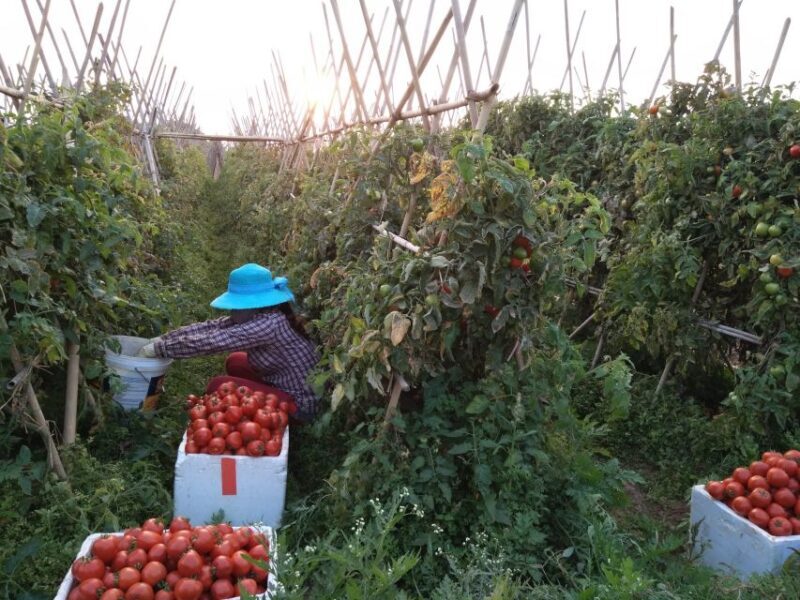 Hanoi Farm Tour and Cooking Class with Local Family - Final Thoughts