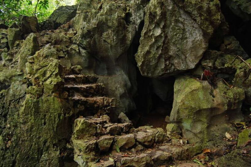 Hanoi: Full-day Cuc Phuong National Park Eco-adventure - Practical Details & What To Expect