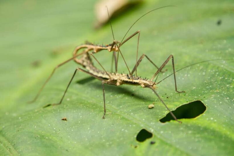 Hanoi: Full-day Cuc Phuong National Park Eco-adventure - Who Will Enjoy This Tour?