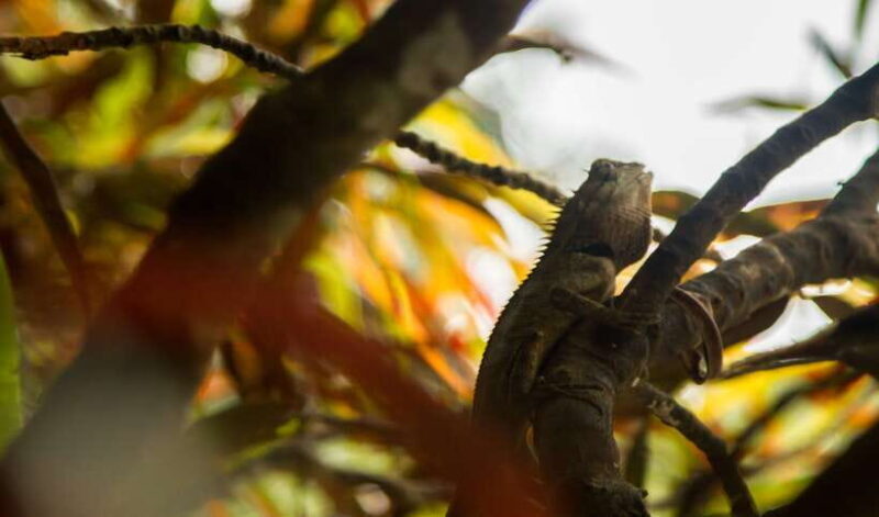 Hanoi: Full-day Cuc Phuong National Park Eco-adventure - FAQ