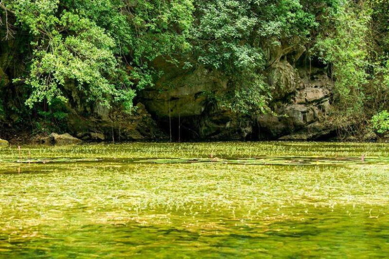 Hanoi: Full-day Exploring Hoa Lu And Trang An Grottoes - Key Points