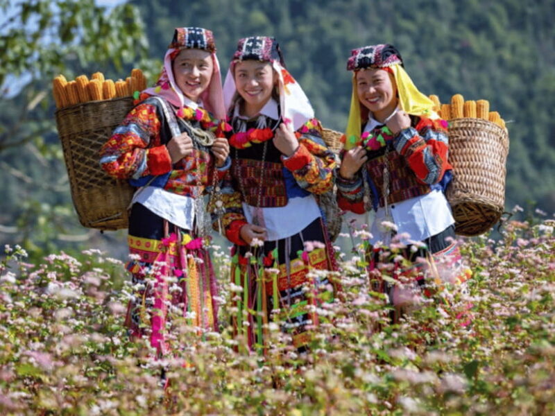 Hanoi: Ha Giang Loop Tour 3 Days 2 Nights with easy rider - A Detailed Look at the Ha Giang Loop Tour