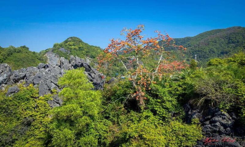Hanoi: Ha Long Bay & CatBa Island 3-Day with Boutique Cruise - Who Will Love This Experience?