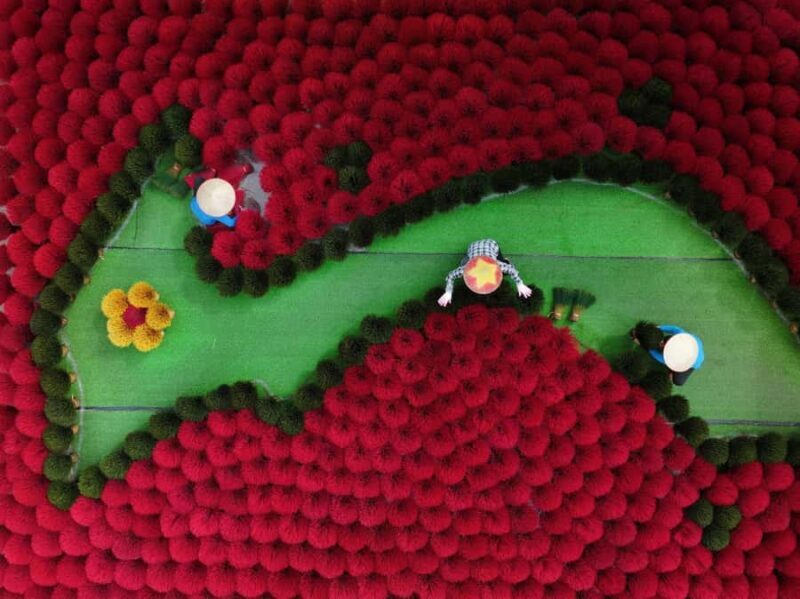 Hanoi: Hai Ly Ruined Church or Incense Village & Hat Village - Analyzing the Value