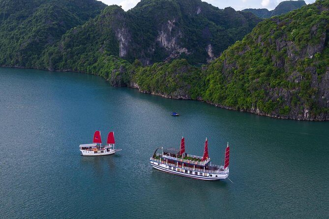 Hanoi - Halong Amzing Sails Luxury Day Tour - Who Is This Tour Best For?