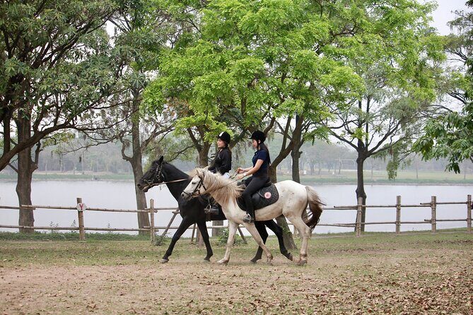Hanoi Horseback Riding Tour - Exclusive Experience - An In-Depth Look at the Hanoi Horseback Riding Tour