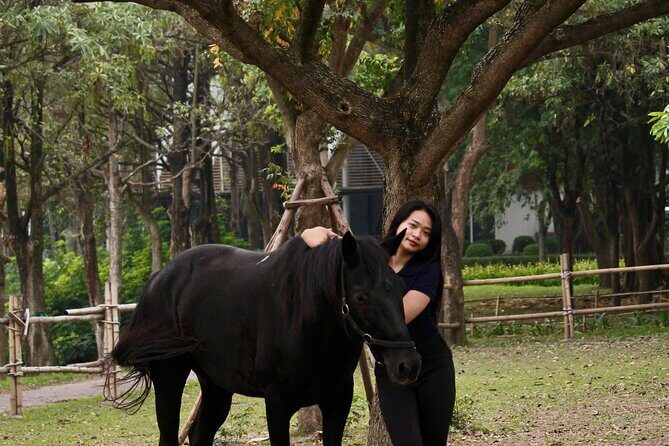 Hanoi Horseback Riding Tour - Exclusive Experience - FAQs