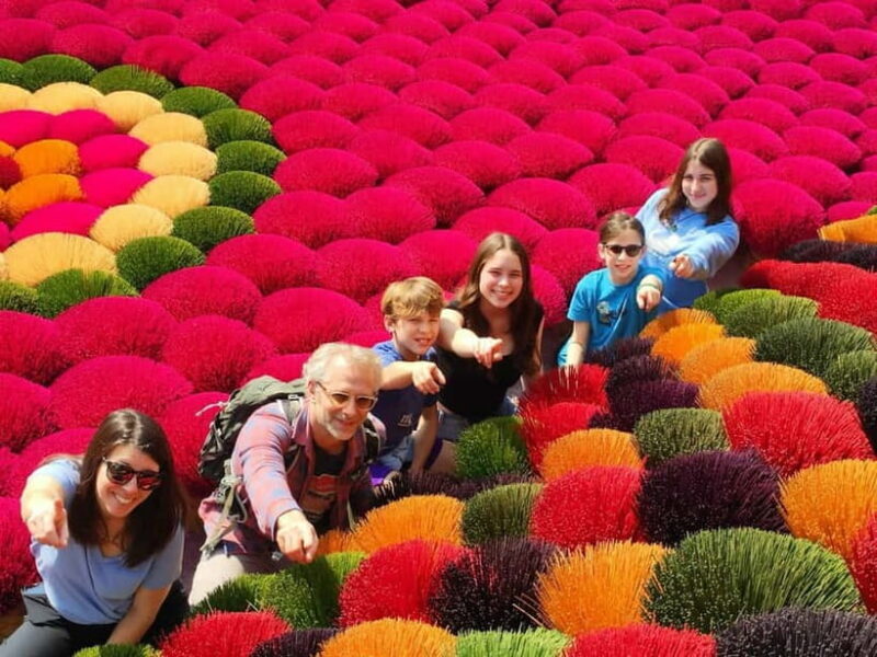 Hanoi: Incense Village & Ninh Binh Hoa Lu Trang An Day Trip - Introduction