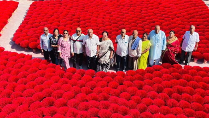 Hanoi: Incense Village & Ninh Binh Hoa Lu Trang An Day Trip - Key Points