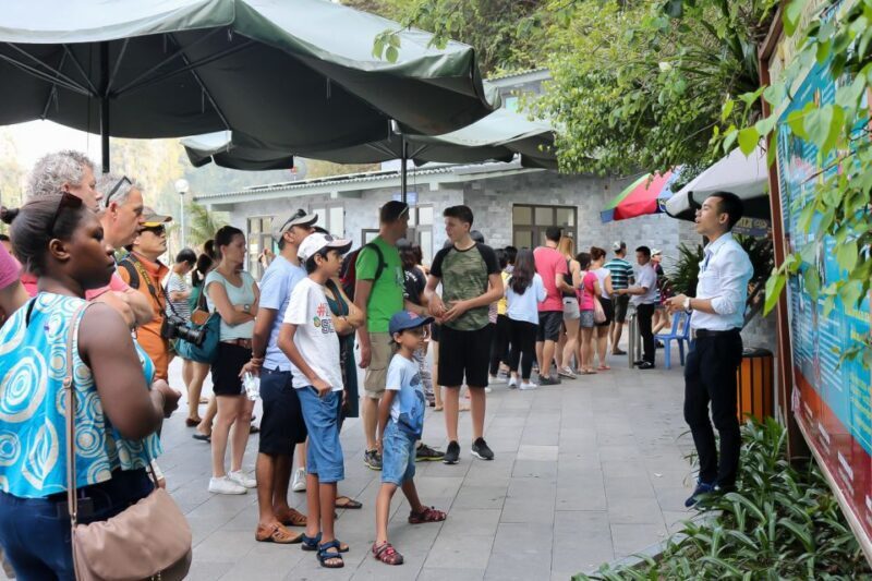 Hanoi: Islands & Caves Ha Long Cruise with Lunch & Kayaking - What Travelers Say