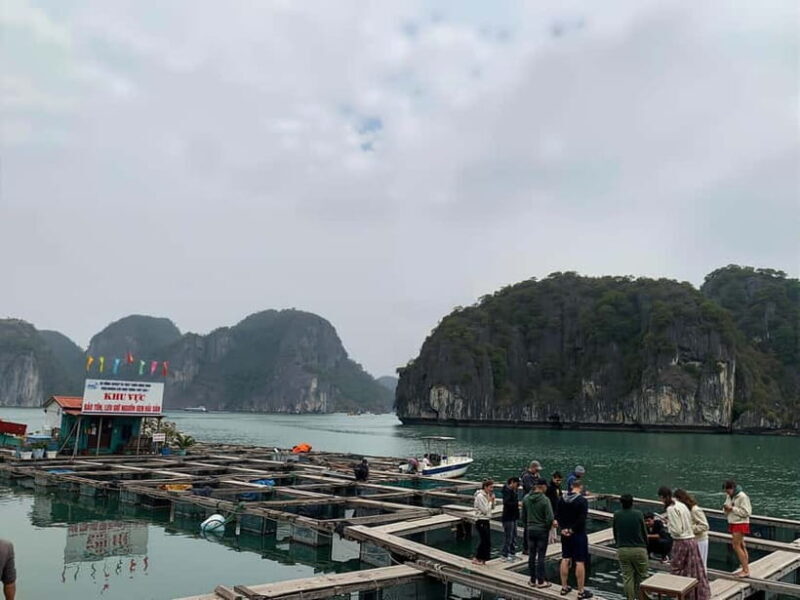 Hanoi: Lan Ha Bay Boat Tour - Lunch, Beach, Kayaking - In The Sum Up: Who Is This Tour For?