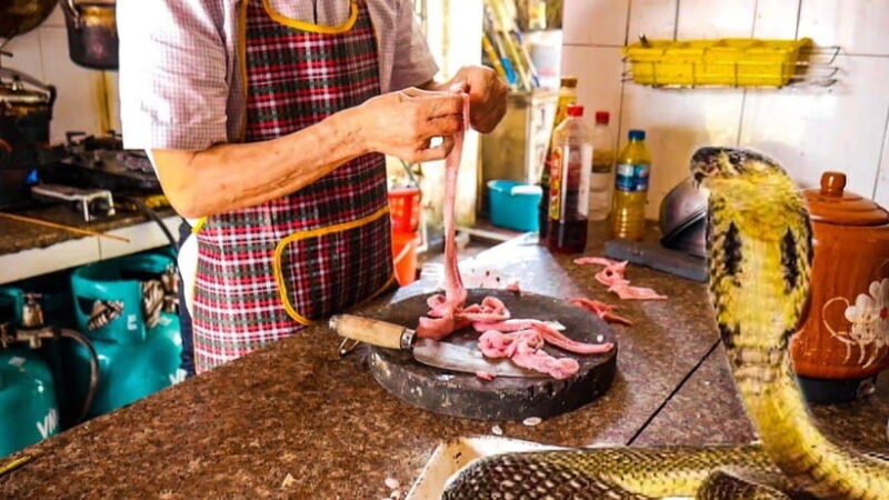 Hanoi: Le Mat Snake Village Tour with 10 Dishes - Practical Details and Value