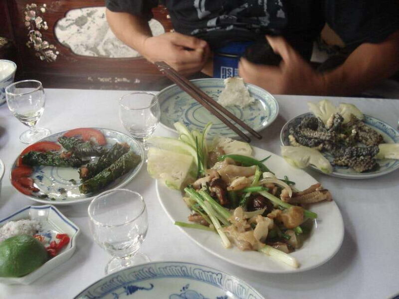 Hanoi: Le Mat Snake Village Tour with 10 Dishes - Who Will Enjoy This Tour?