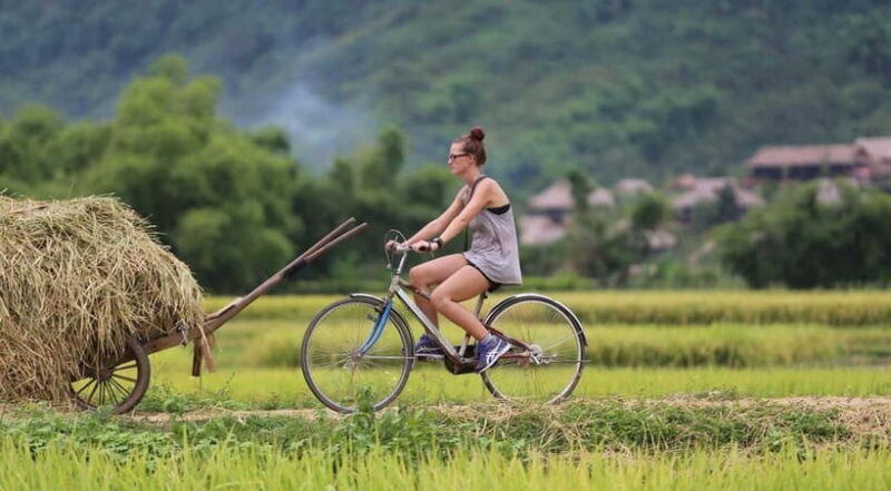 Hanoi: Mai Chau Valley Day Tour - Authentic Lunch & Cycling - Uncovering Vietnam’s Hidden Gem: The Mai Chau Valley Day Tour