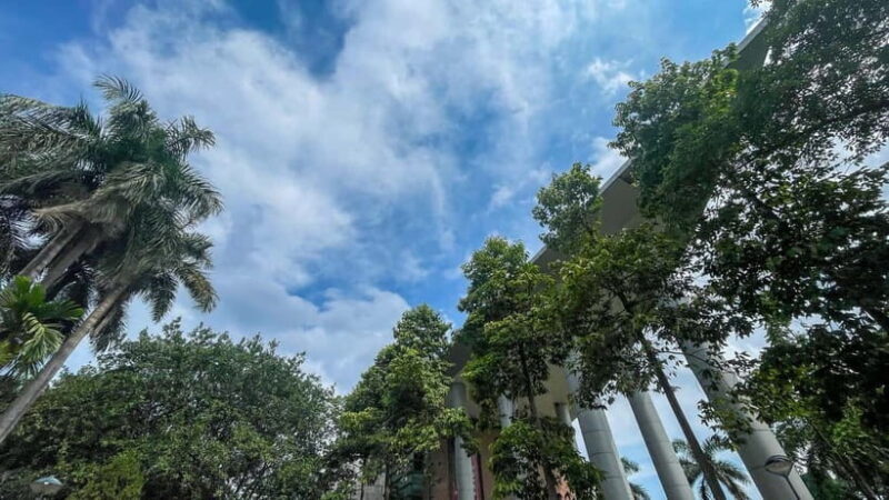 Hanoi: Museum of Ethnology and Quang Phu Cau Incense Village - Exploring the Museum of Ethnology in Hanoi