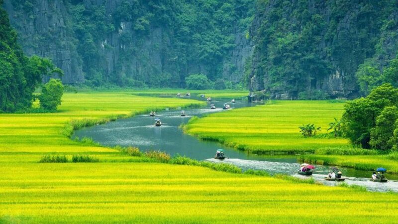 Hanoi: Ninh Binh Day Trip Visit Hoa Lu, Tam Coc & Mua Cave - Return Journey and Reflection