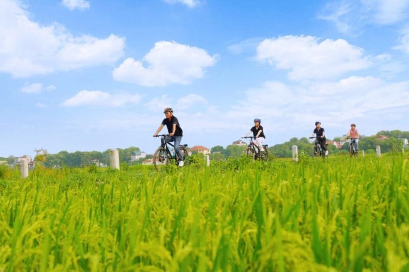 Hanoi: Ninh Binh Day Trip Visit Hoa Lu, Tam Coc & Mua Cave - What the Tour Offers in Terms of Value