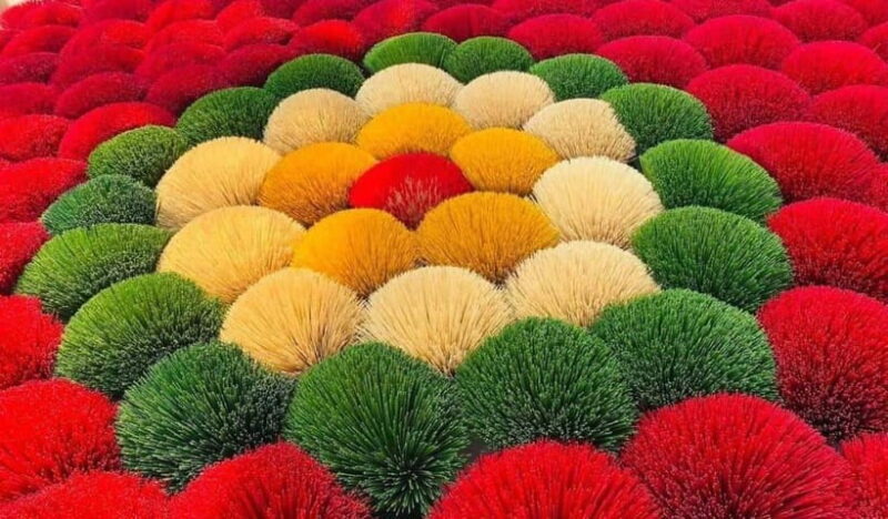 Hanoi: Ninh Binh Day Trip with Incense Village Tour - Introduction: What to Expect from This Ninh Binh Day Trip