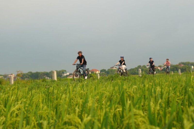 Hanoi: Ninh Binh Full-Day Visit Hoa Lu, Tam Coc and Mua Cave - Introduction
