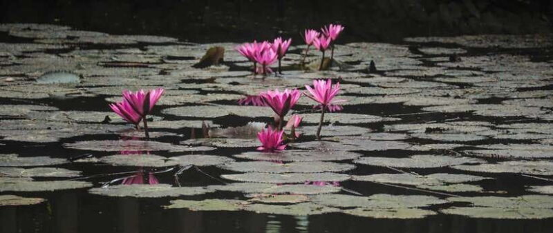 Hanoi: Ninh Binh, Tam Coc, Mua Cave & Hoa Lu with cycling - FAQ: Practical Questions About This Tour