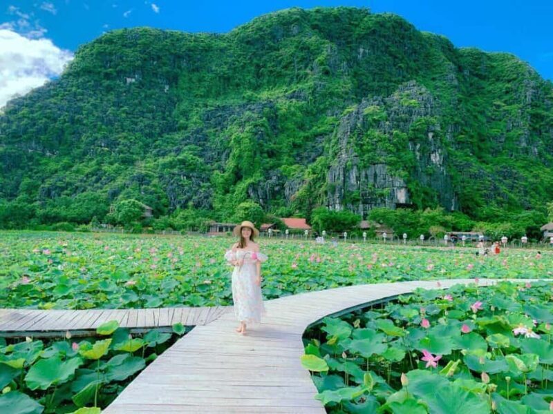 Hanoi: Private Ninh Binh Hoa Lu, Trang An/Tam Coc & Mua Cave - The Bottom Line: Is It Worth It?