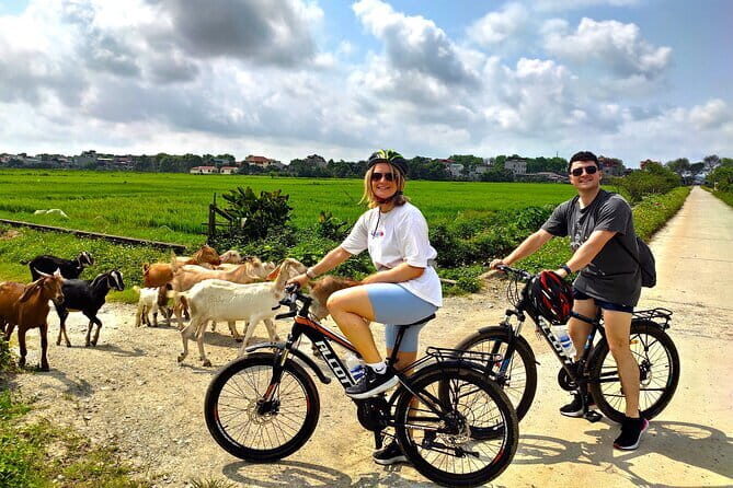 Hanoi: Private Tour to Mua Caves, Local Family, Tam Coc & Hoa Lu - Key Points