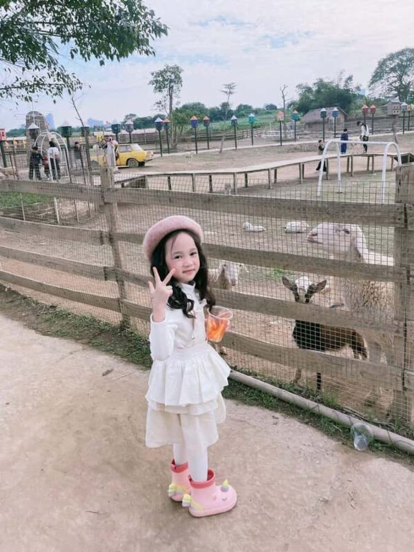 Hanoi: Rainbow Slide & Horse Riding  Small Group Half-day - Why Travelers Love This Tour