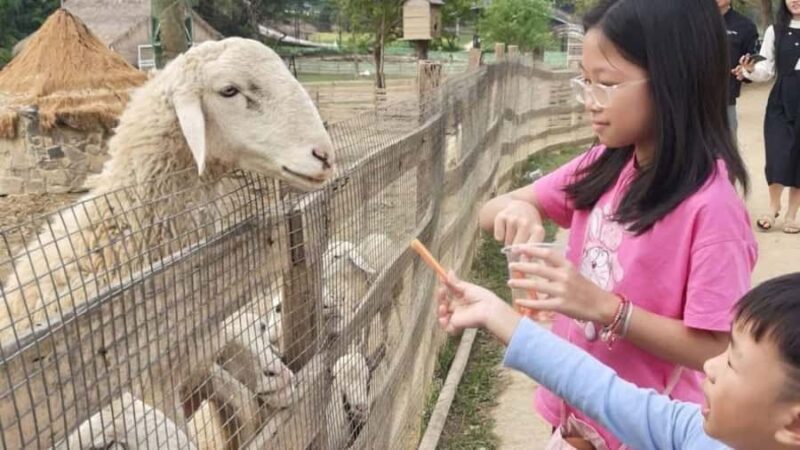 Hanoi: Rainbow Slide & Horse Riding  Small Group Half-day - Who Should Consider This Tour?