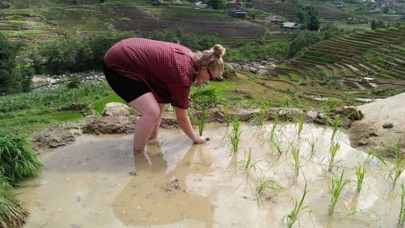 Hanoi- SaPa: 3-Day Homestay Trek to Explore Ethnic cultures - The Travel Overview