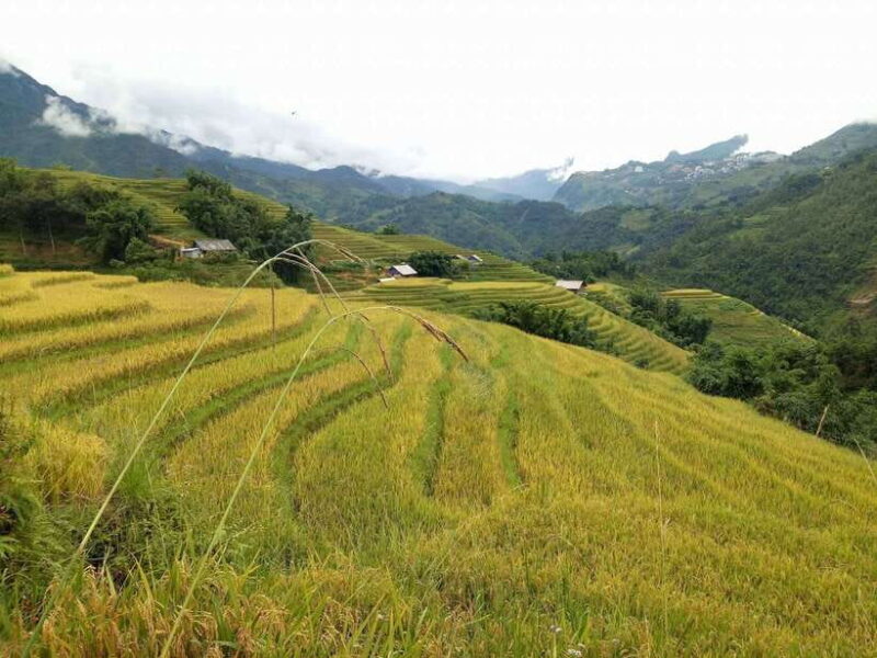 Hanoi- SaPa: 3-Day Homestay Trek to Explore Ethnic cultures - Transportation & Logistics