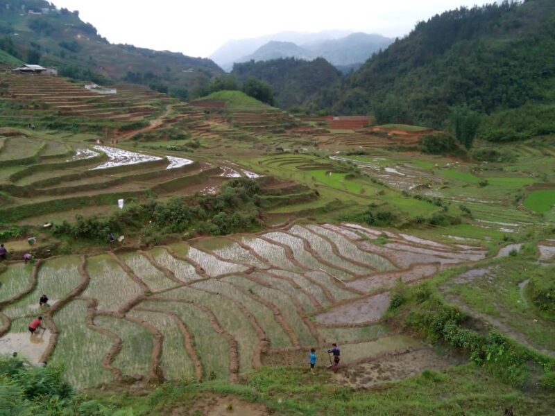 Hanoi- SaPa: 3-Day Homestay Trek to Explore Ethnic cultures - The Value of the Tour