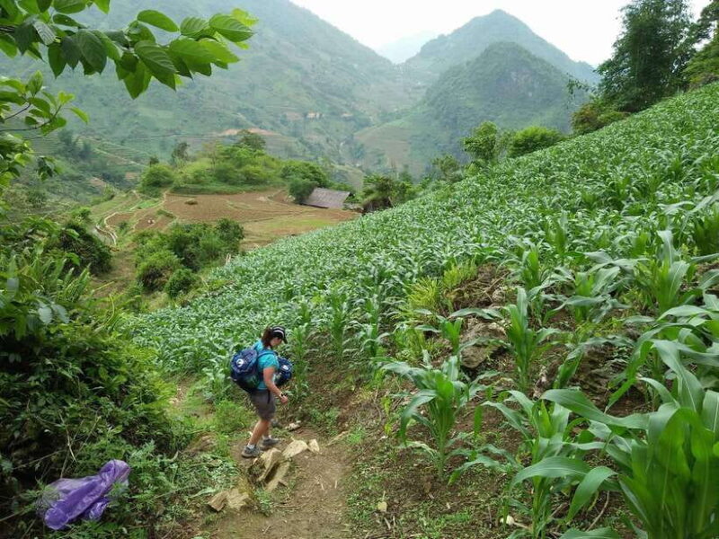 Hanoi- SaPa: 3-Day Homestay Trek to Explore Ethnic cultures - Authenticity and Cultural Encounters