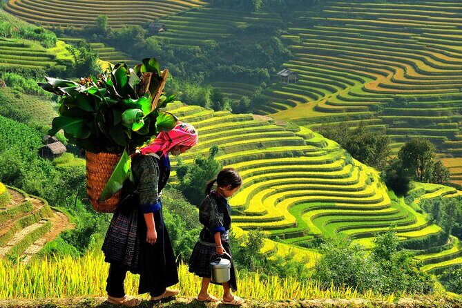 Hanoi Sapa and Halong Bay Package Tour 5 Days 4 Nights - Day 2: Hanoi to Sapa — Mountain Air and Village Life