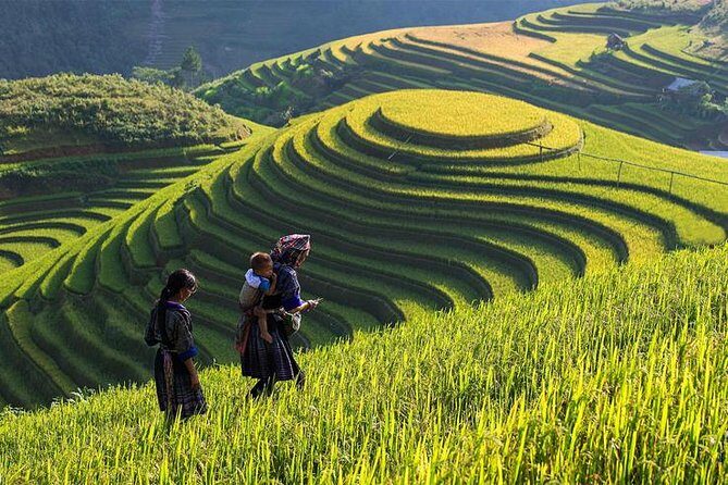 Hanoi - Sapa One Way Private Transfer - A Practical Look at the Journey