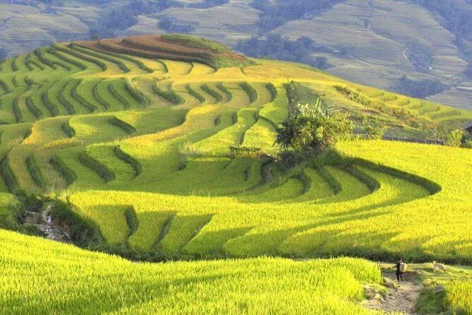 Hanoi-Sapa Trek 2 days 2 nights in Hotel with small group - Authenticity, Guides, and Value