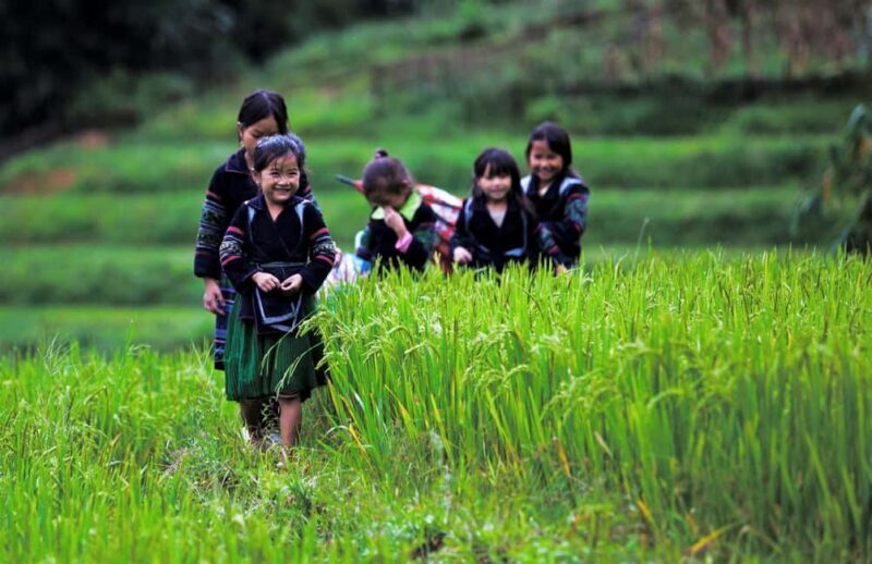 Hanoi: Sapa Trekking 2 Days 1 Night Transfer with Cabin Bus - The Value of This Tour