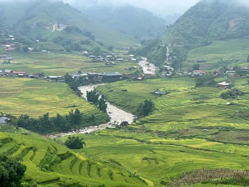 Hanoi: Sapa Trekking Tour with Bus Transfer & Homestay - An In-Depth Look at the Sapa Trekking Experience