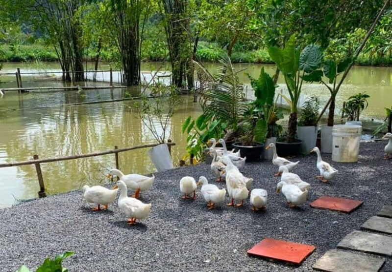 Hanoi: Scenic 1-Day Motorbike to Ninh Binhs Hidden Gems - Deep Dive: What Makes This Tour Stand Out?